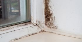 Dealing With Mould Around Windows (Prevention & Removal Tips) - Expert ...