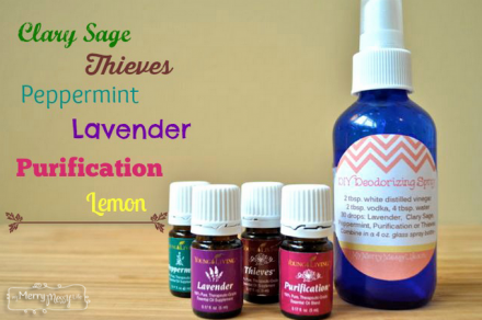 19 Natural Ways To Make Your Home Smell Wonderful - Expert Home Tips