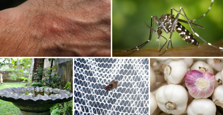 13 Effective Ways To Prevent Bites & Stings - Expert Home Tips