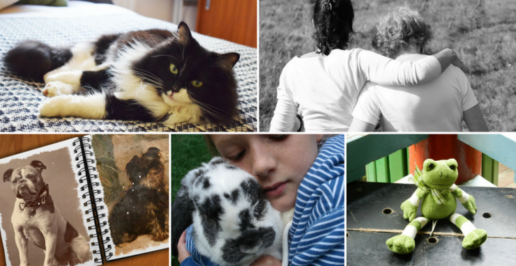 Grieving A Pet: 9 Steps To Get You Through It - Expert Home Tips
