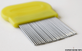 How To Get Rid Of Nits (Head Lice Treatments That ACTUALLY Work ...