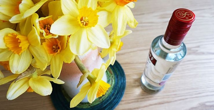 14 Clever Uses For Vodka (That'll Take You By Surprise!) - Expert Home Tips