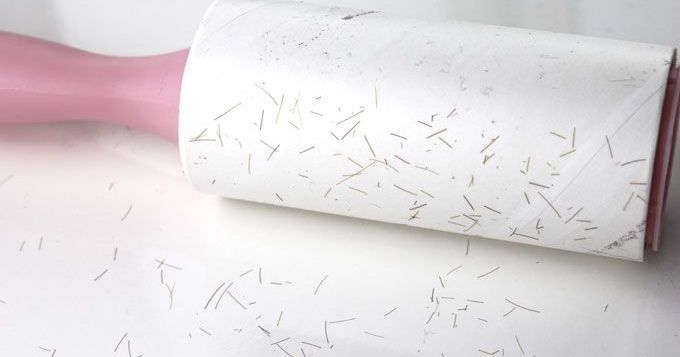17 Things You Can Clean With A Lint Roller - Expert Home Tips